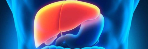 Ascite: o que é, tipos, causas, sintomas, tratamento e mais | MS