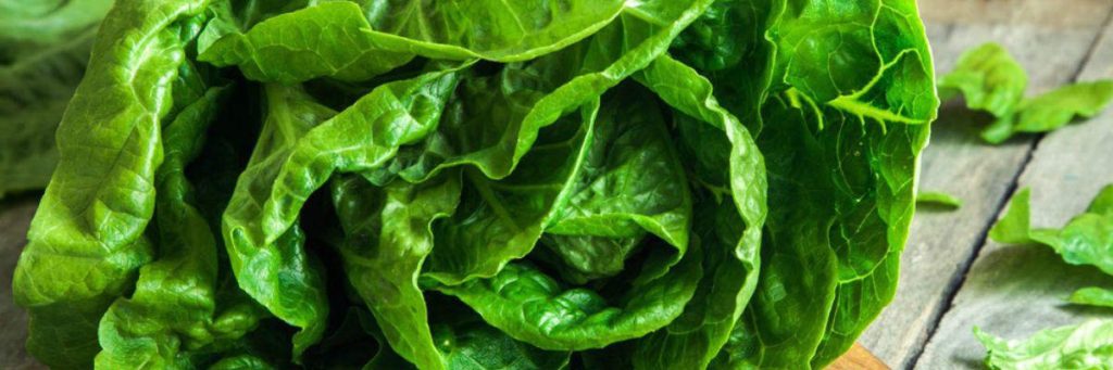 O que é Febre Tifoide? Sintomas, transmissão e tratamento | MS