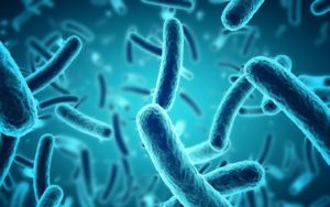 O que é Difteria, sintomas, tratamento e prevenção (vacina) | MS