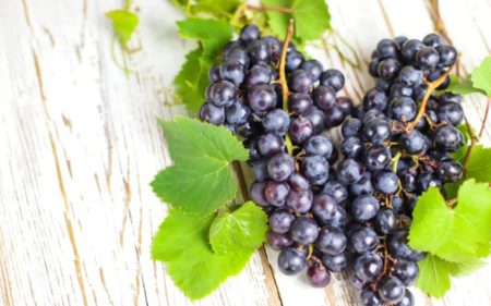 Uva: quais os tipos, benefícios e nutrientes da frutinha? | MS