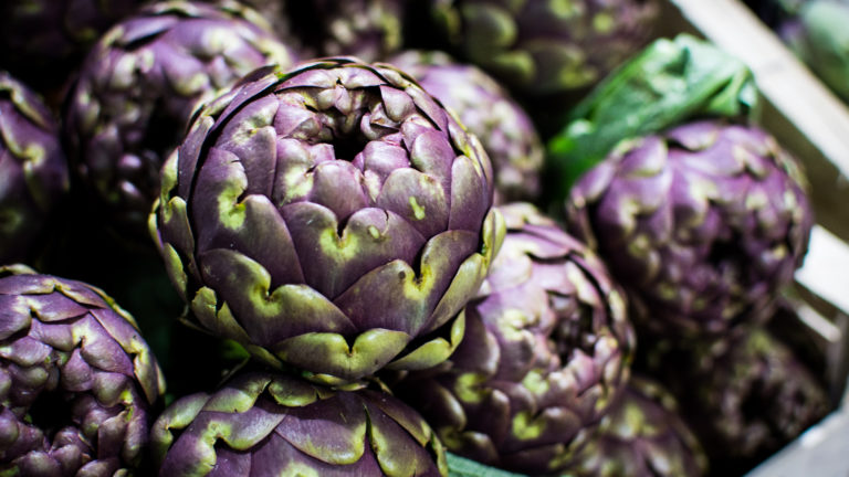 Alcachofra: benefícios e como consumir (cápsula ou folhas) | MS