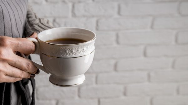 Garra do diabo: veja quais são os benefícios e como ingerir | MS